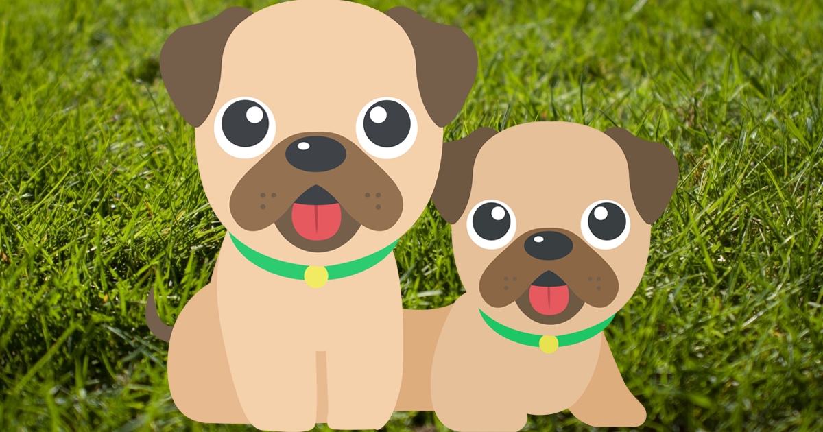 What You (Might) Want To Know About Us | Puglet Digital